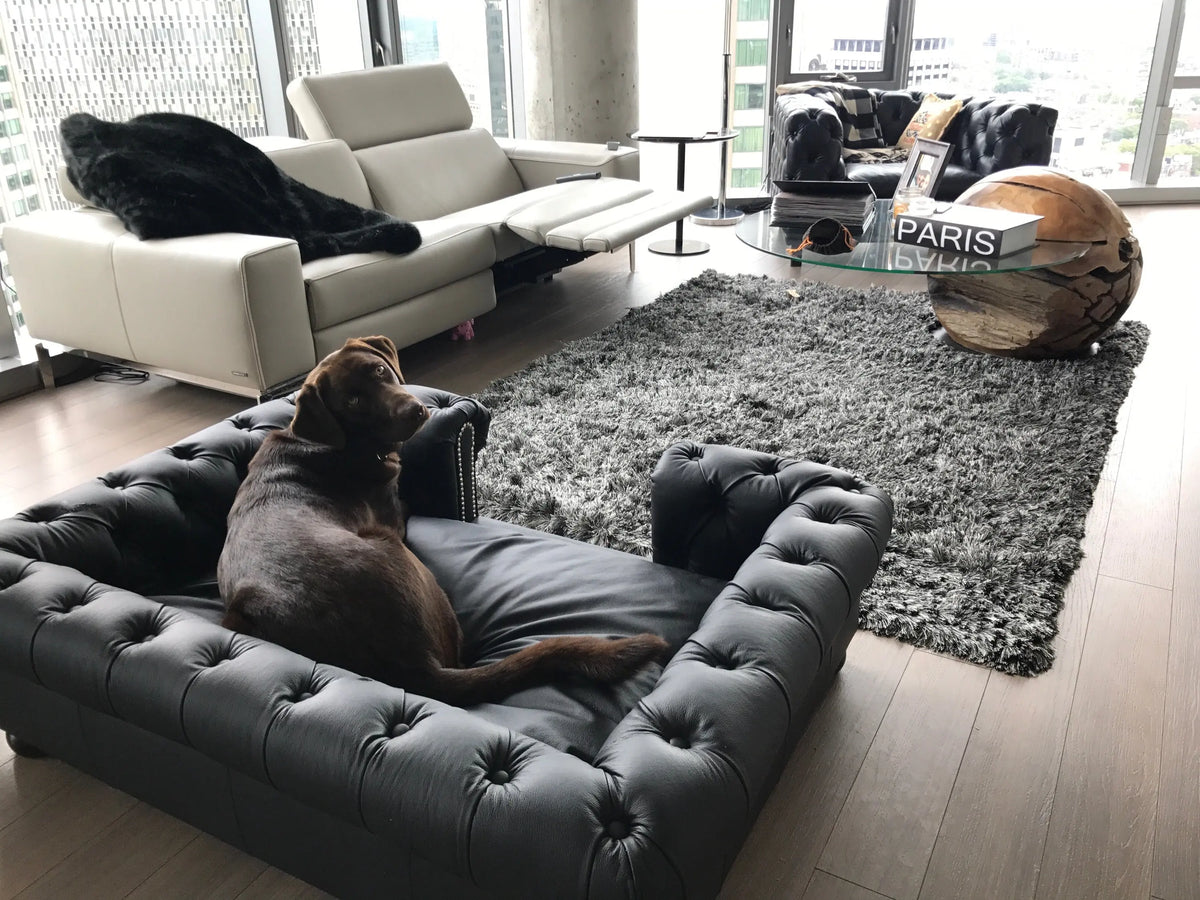 "Balmoral" Dog Beds - Real Leathers – Scott's of London